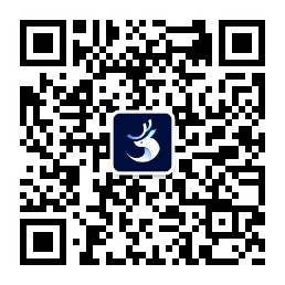 ASF是什么视频格式？ASF文件有哪些特点和缺点？ - 简鹿办公